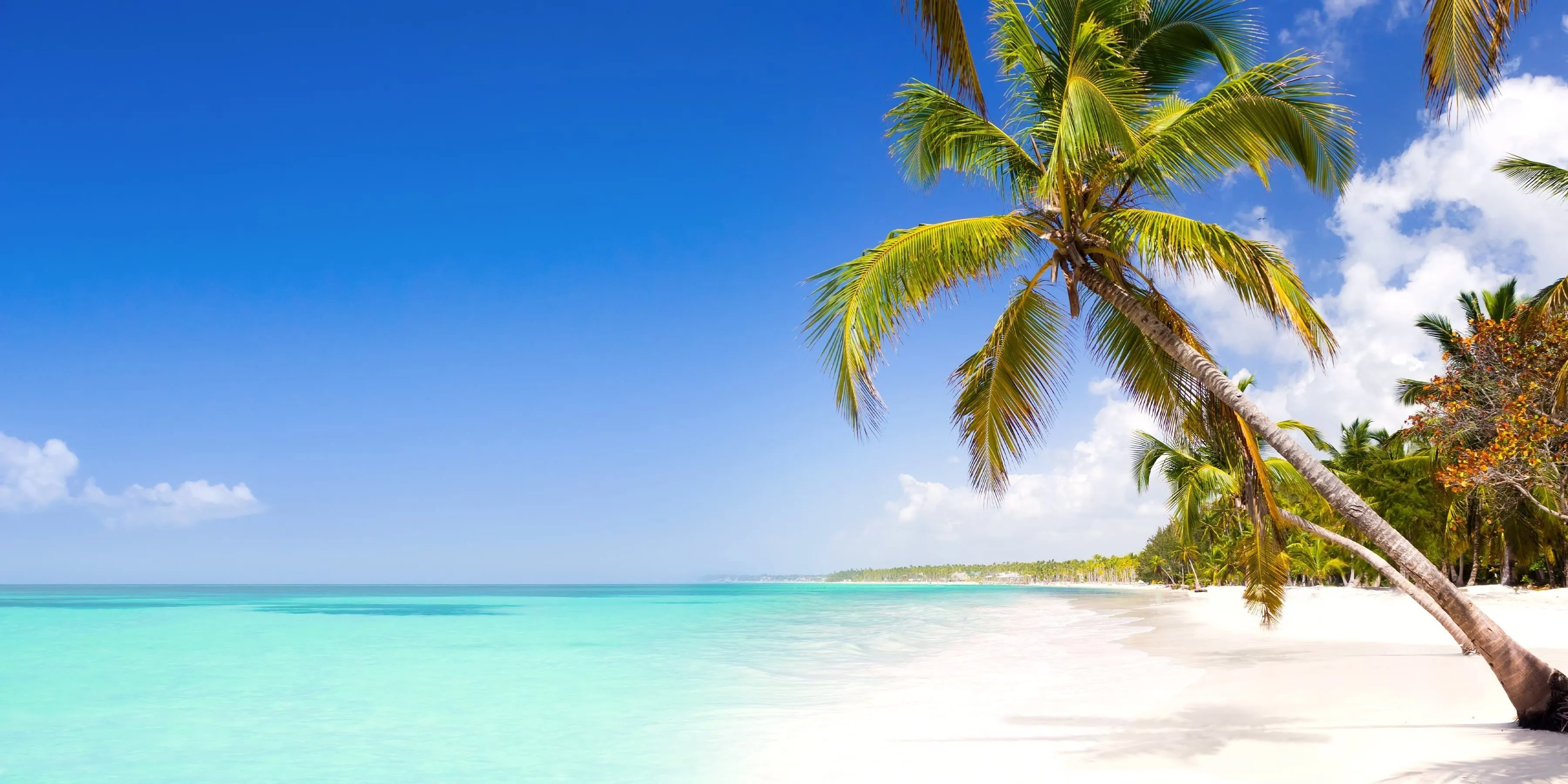 Discover our new resort in Punta Cana | Moon Palace